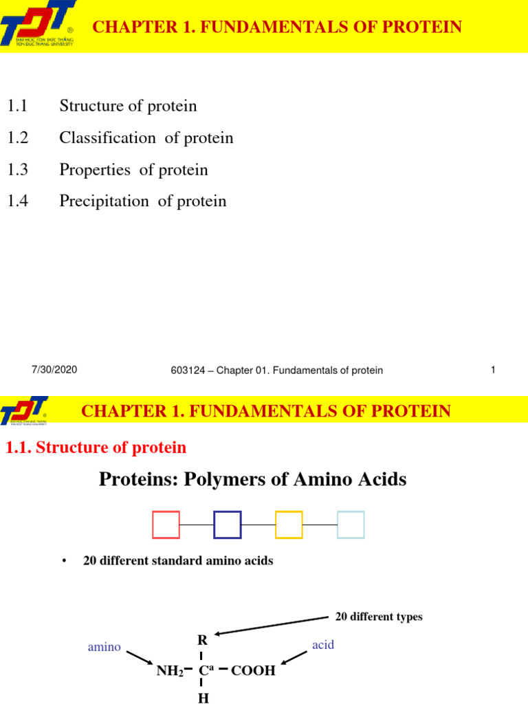 Protein Structure and Classification Guide | PDF | Proteins | Denaturation (Biochemistry)