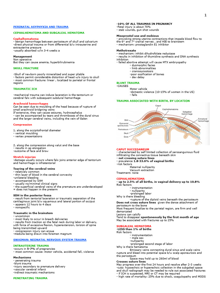 7 Perinatal Asphyxia and Trauma | PDF | Cerebral Cortex | Traumatic ...