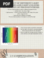 Understanding Compensation Point in Plants | PDF | Photosynthesis ...