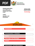 Grade 12 Genetics Notes | PDF