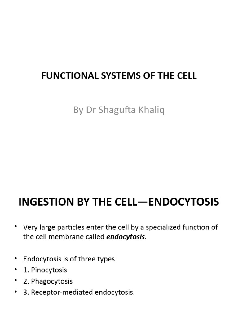 Cell 3 (Phago, Cell Movemnt) | PDF | Cell Adhesion | Cell Membrane