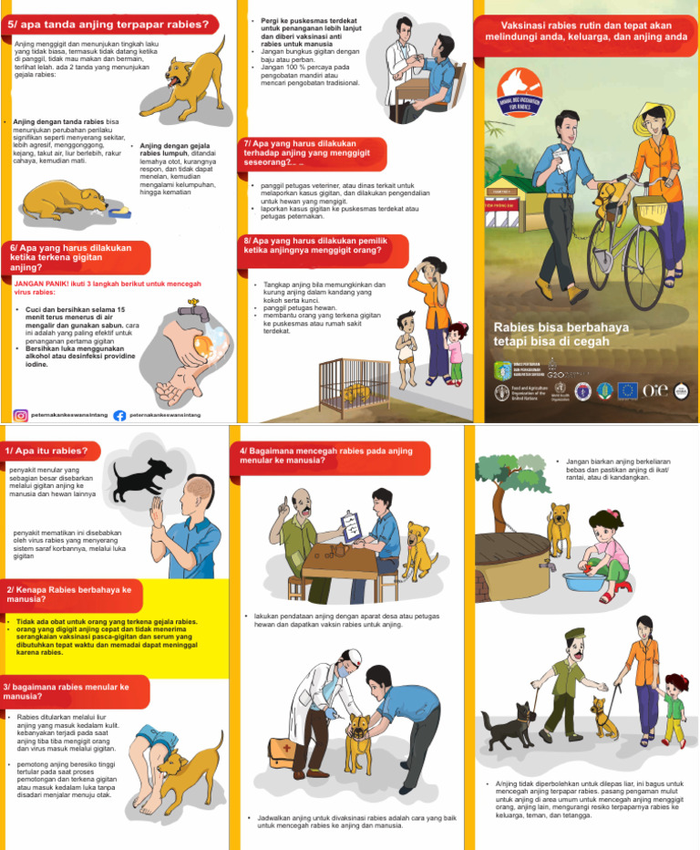 Leaflet Rabies FT Fao Legal | PDF