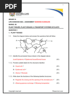 Gr.11 Topic Test - Excretion | PDF | Kidney | Urinary System