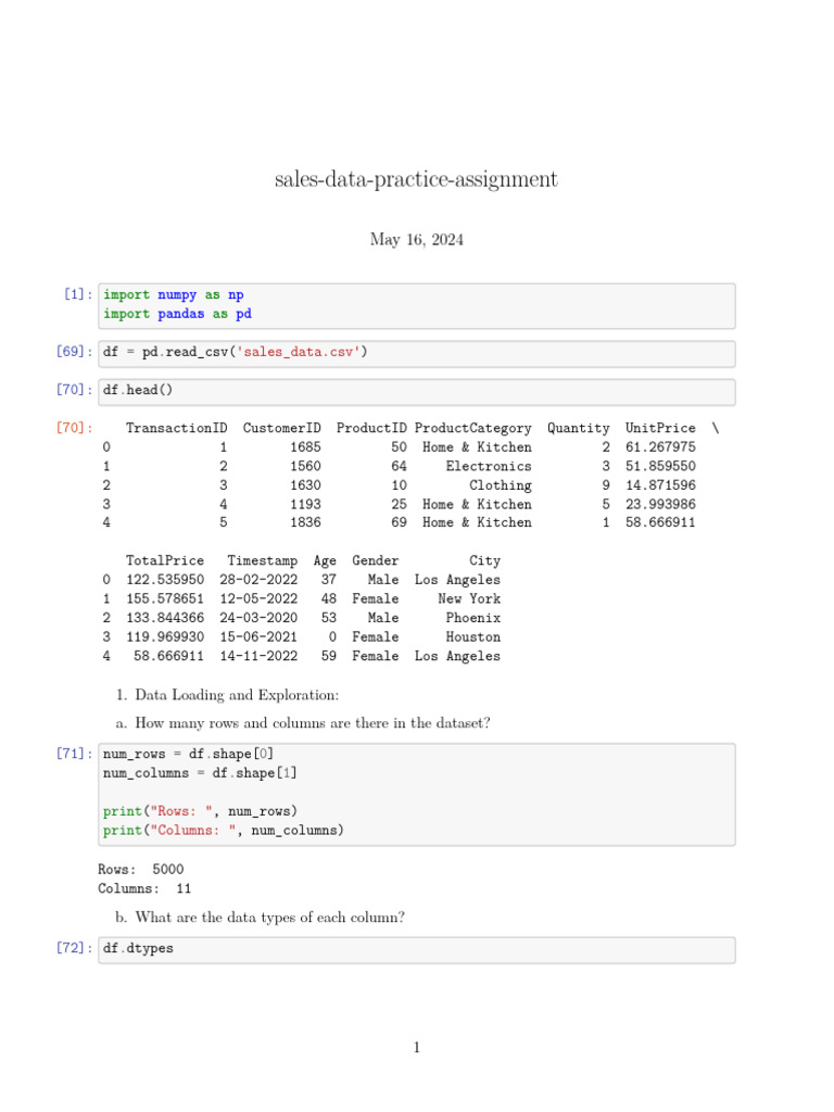Sales Data Practice Assignment | PDF | Computer Data | Data