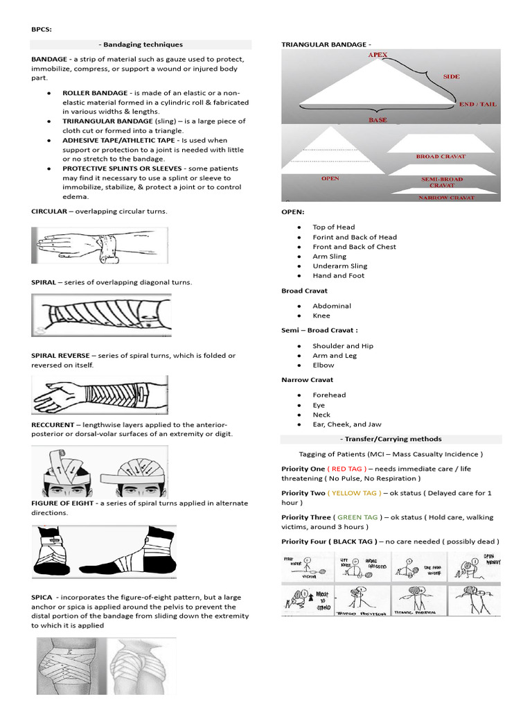 OSPE Rev | PDF | Human Leg | Musculoskeletal System