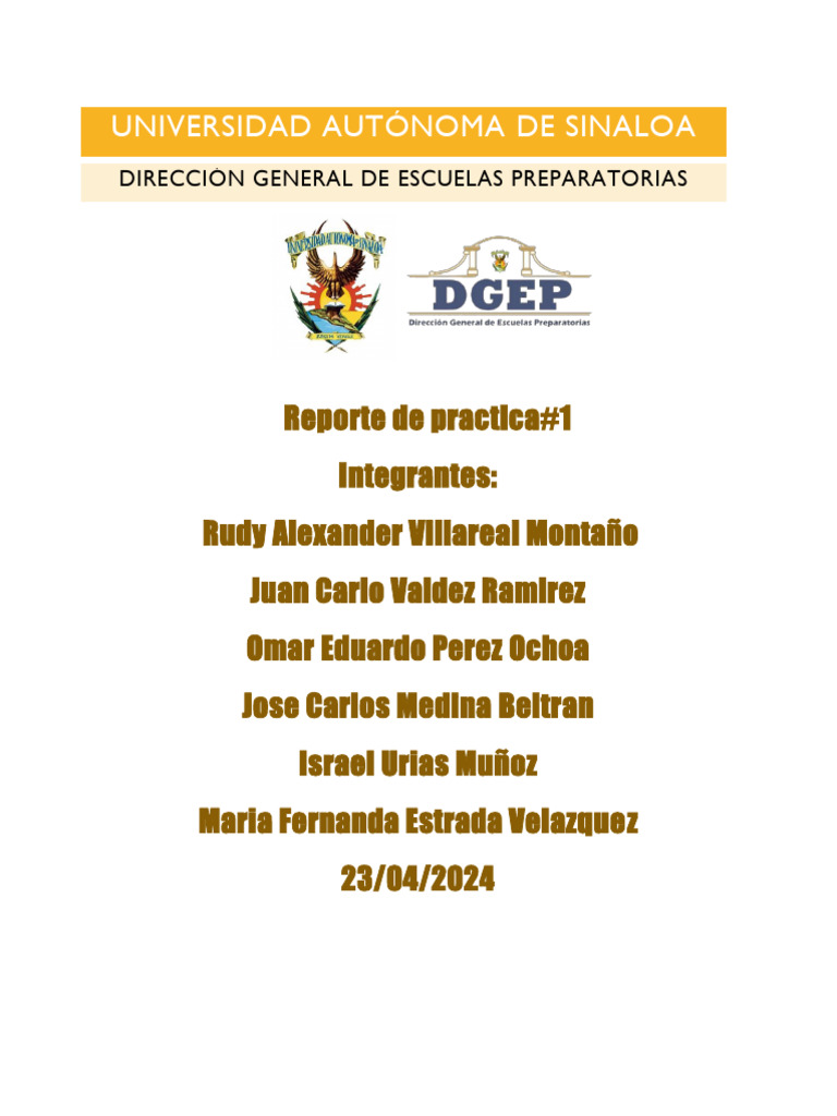 RAVM ReporteLabBCel U1 P1 3-01 Eq01 | PDF