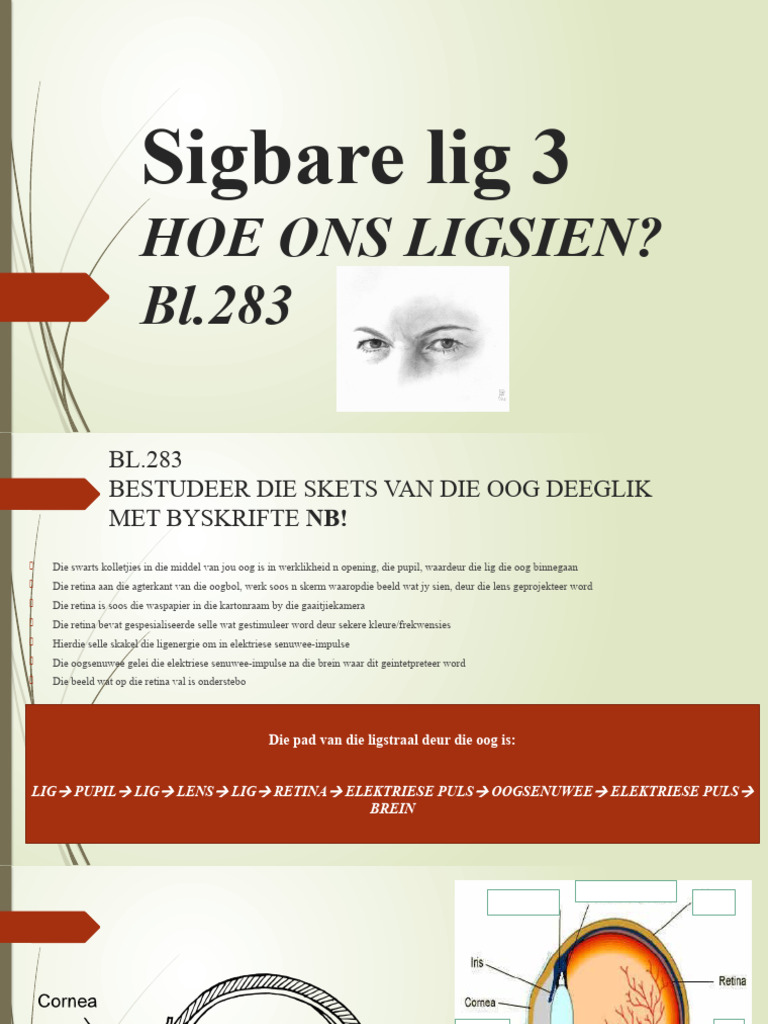 Sigbare Lig 3 | PDF