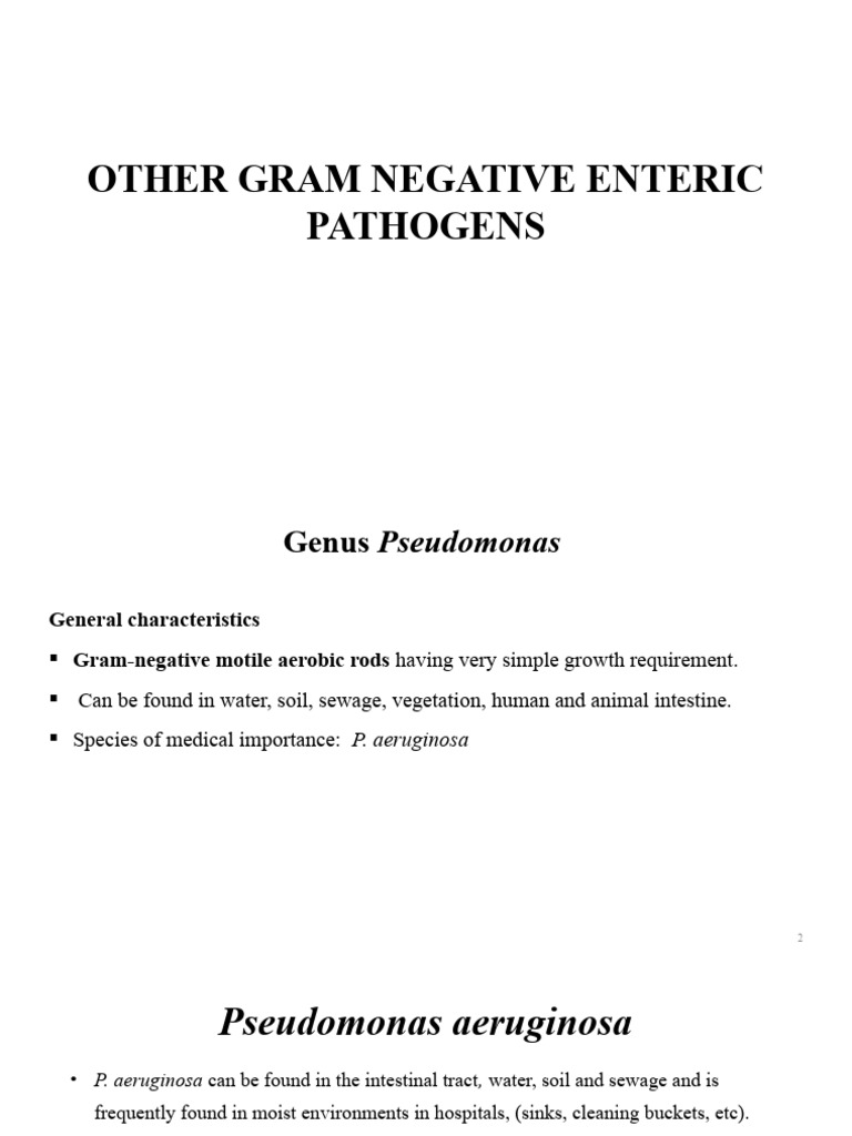 Gram-Negative Enteric Pathogens Overview | PDF | Pseudomonas Aeruginosa ...