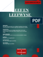 3 Voedselkettings en Voedselwebbe | PDF