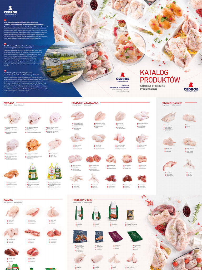 Now Cedrob EXPORT Web v2 | PDF