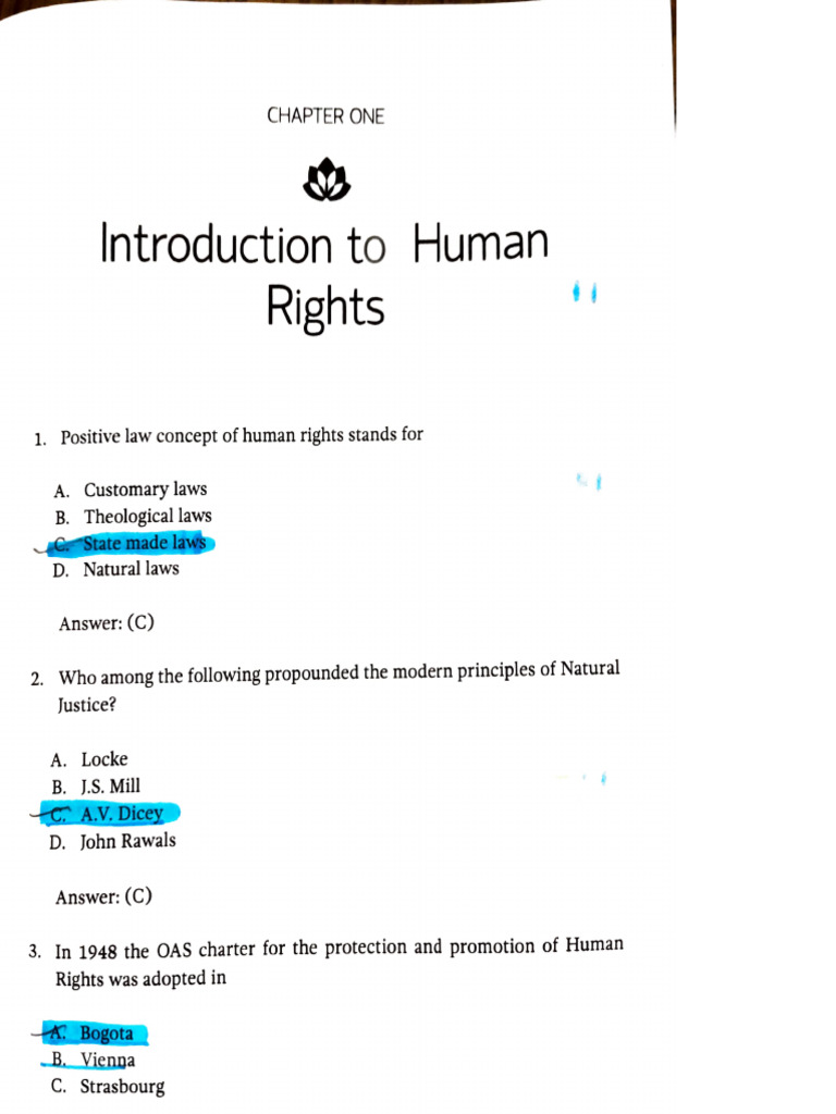 human rights | PDF