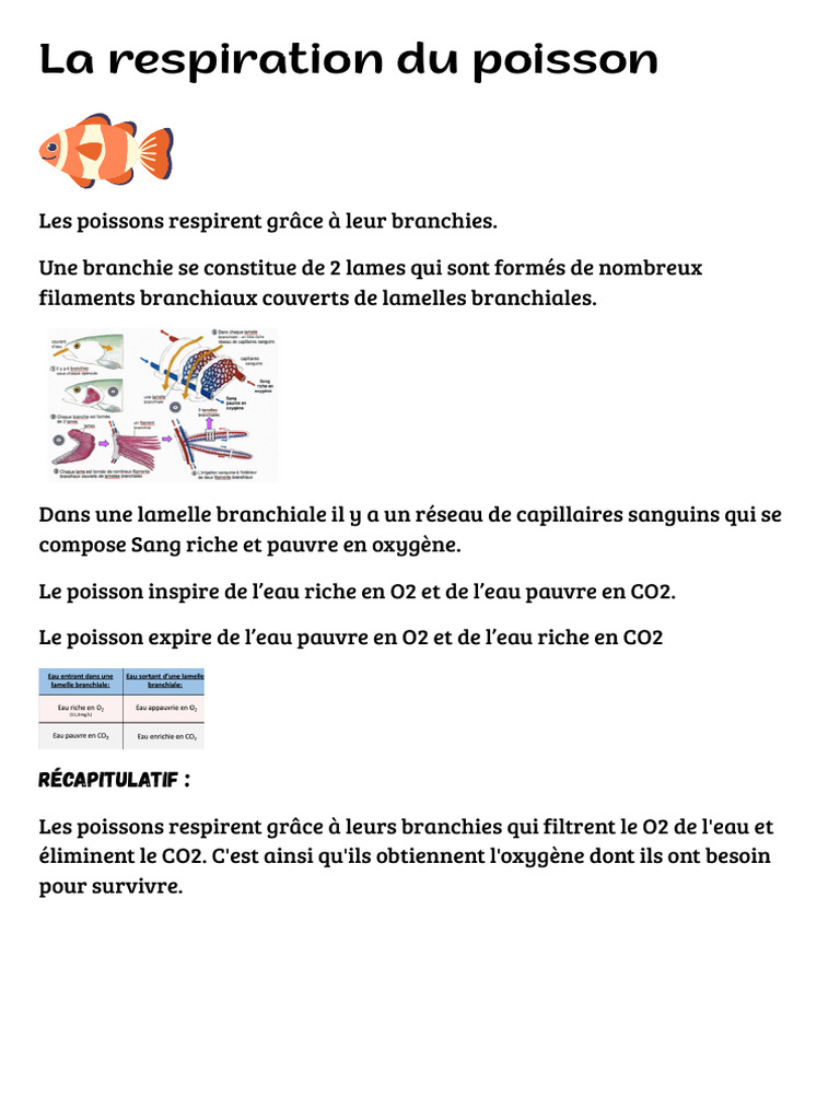 La Respiration Du Poisson | PDF | Sciences et mathématiques