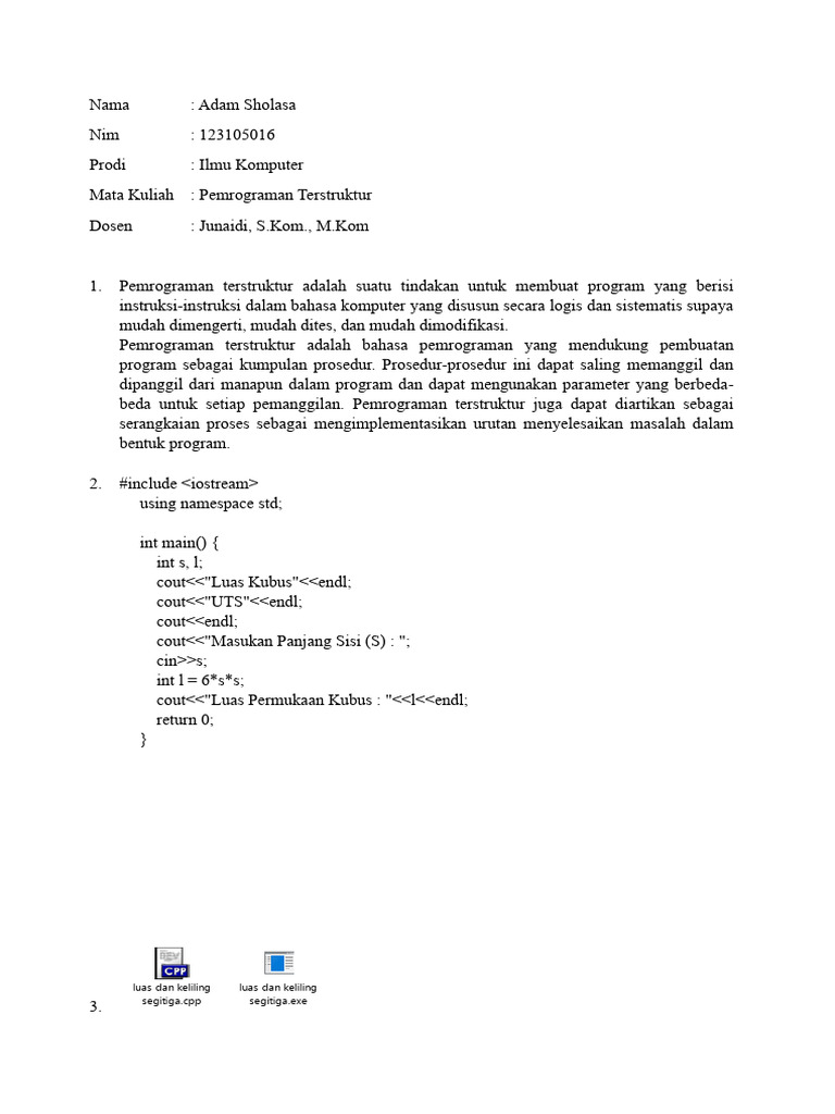 Adam Tugas Pemrograman Terstuktur | PDF