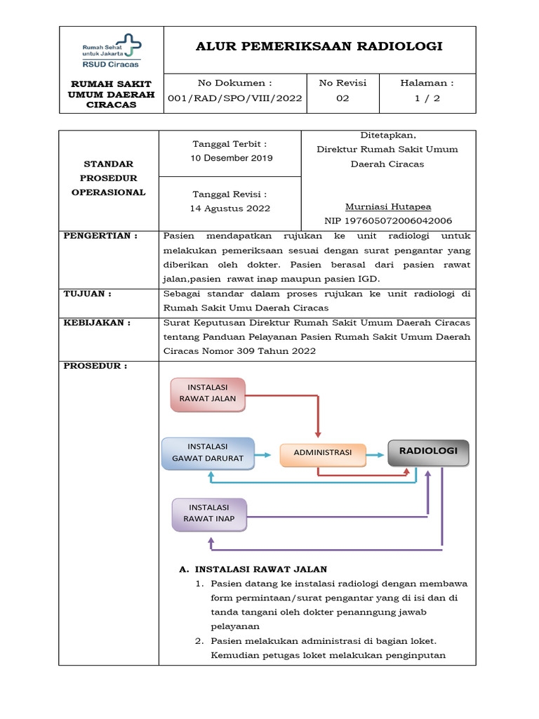 Alur Pemeriksaan Pasien | PDF