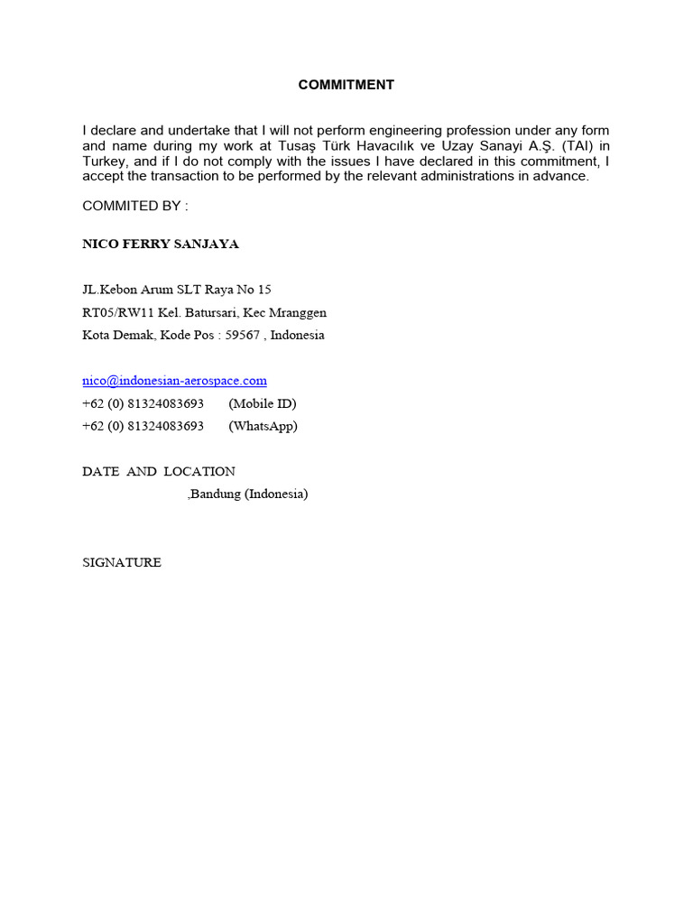 Commitment-Engineering Nico 150055 | PDF | Technology & Engineering