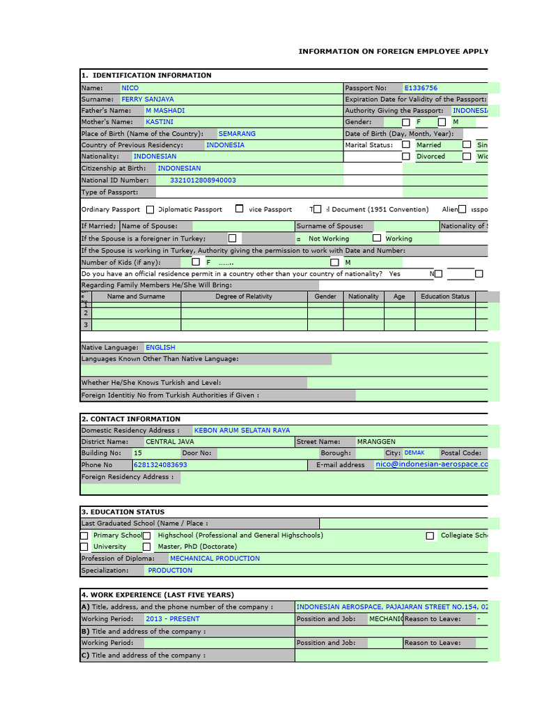 Work Permit Application Information Form NICO 150055 | PDF | Passport | Nationality