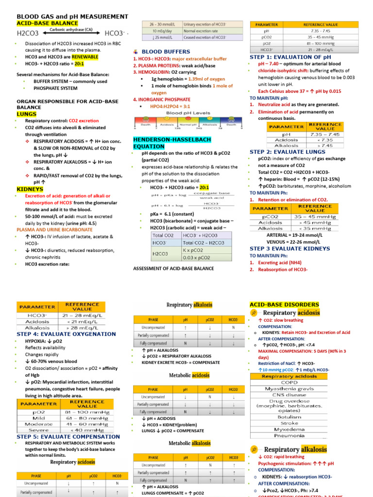 Acid Base Pdf Physiology