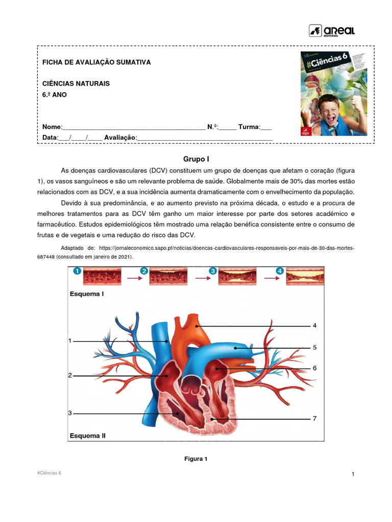 Ae 2ceb cn6 Teste Avaliacao Fev21 | PDF | Ventrículo (coração) | Coração
