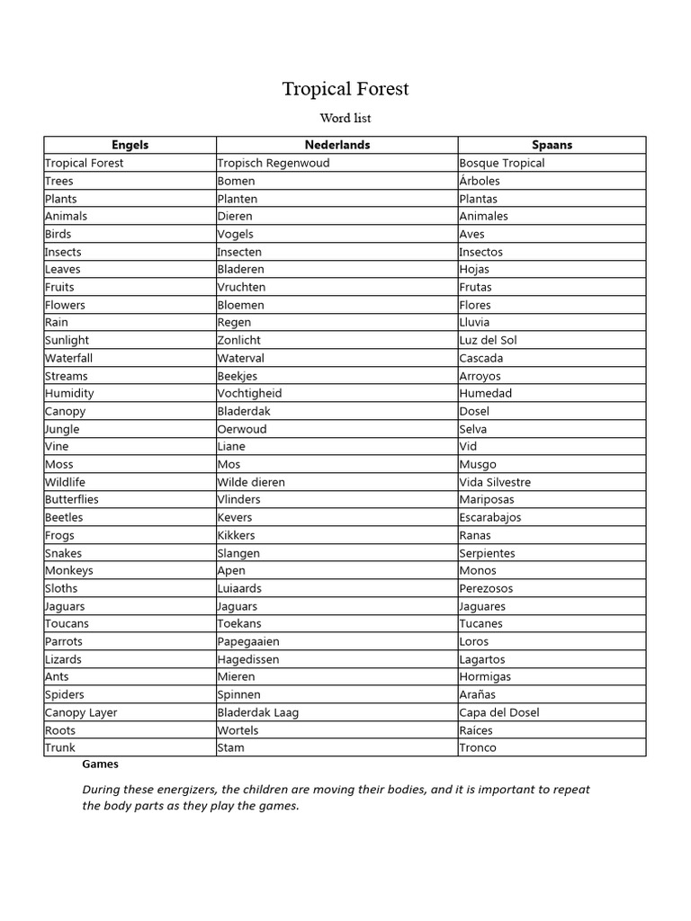 Tropical Forest | PDF | Trees | Forests