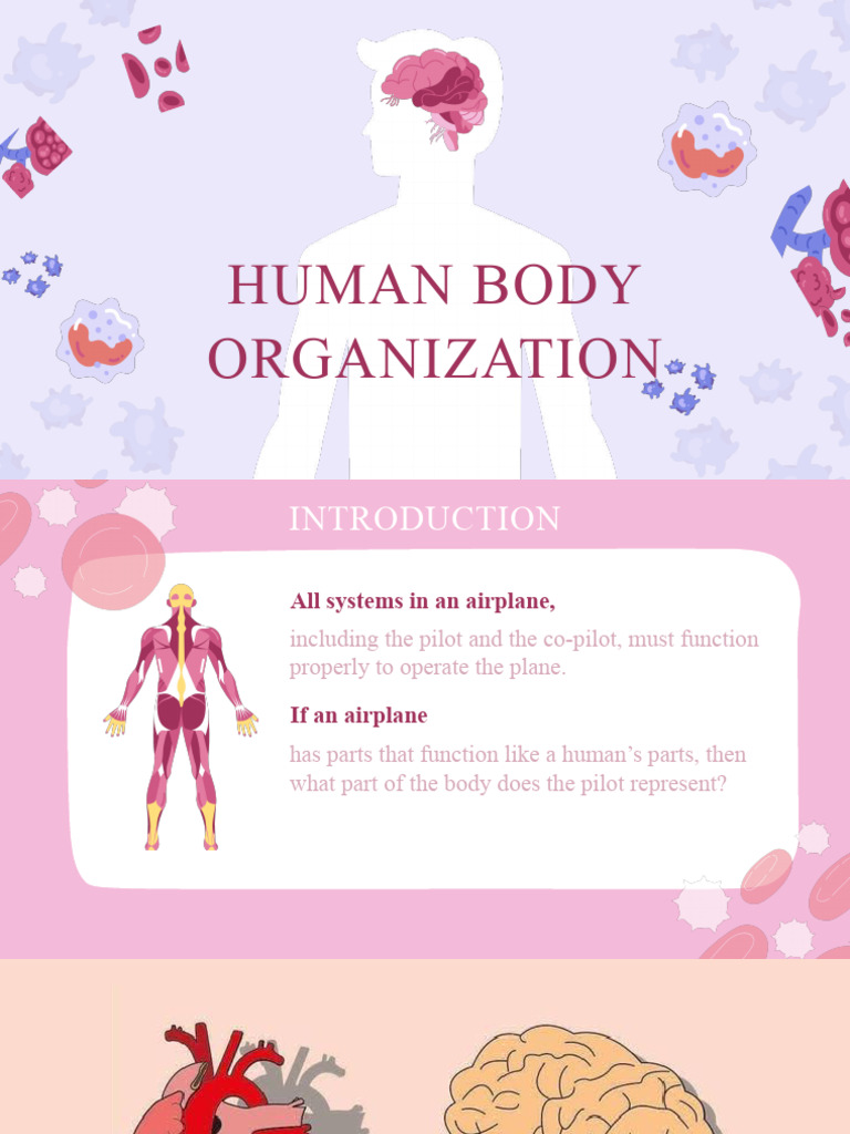 Human Body Organization 2.1 | PDF | Human Body | Tissue (Biology)