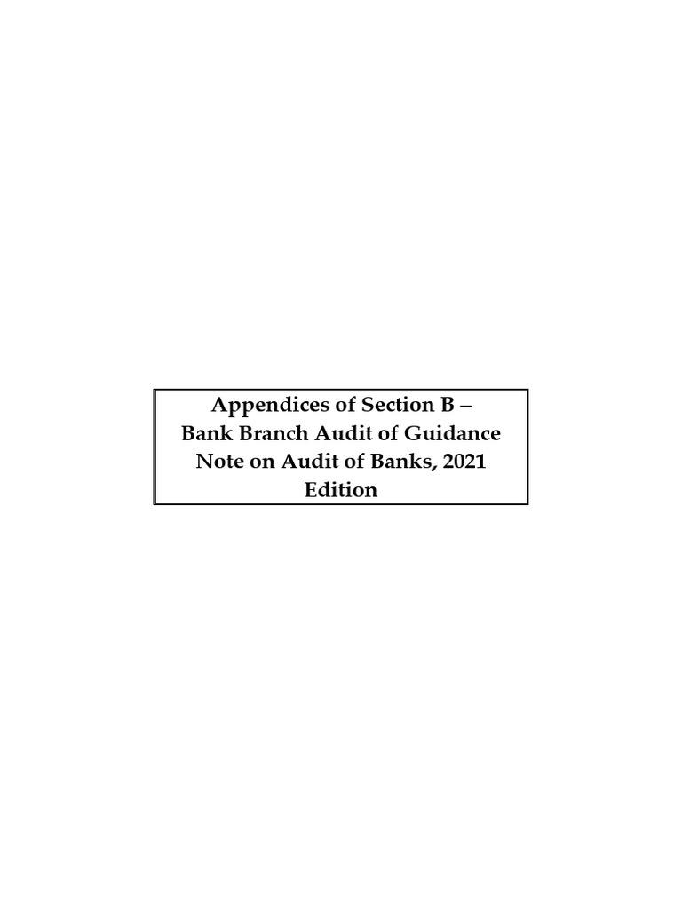 Bank Branch Audit | PDF | Internal Control | Going Concern