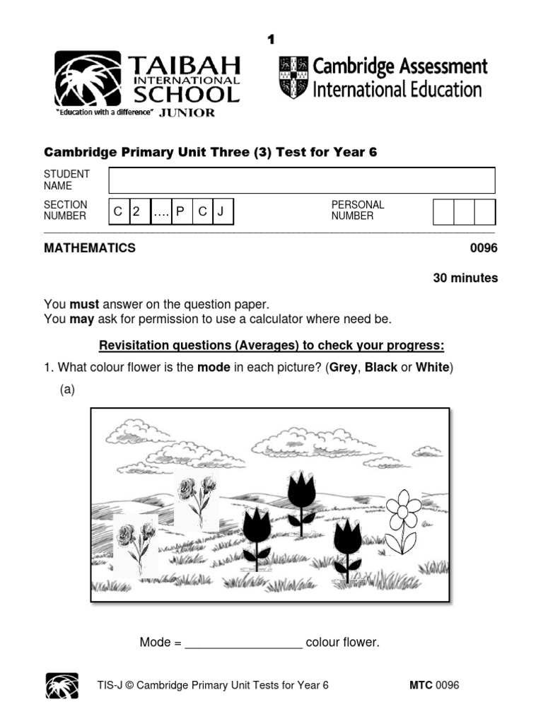 Year 6 Math Test: Averages | PDF | Mean | Mathematics