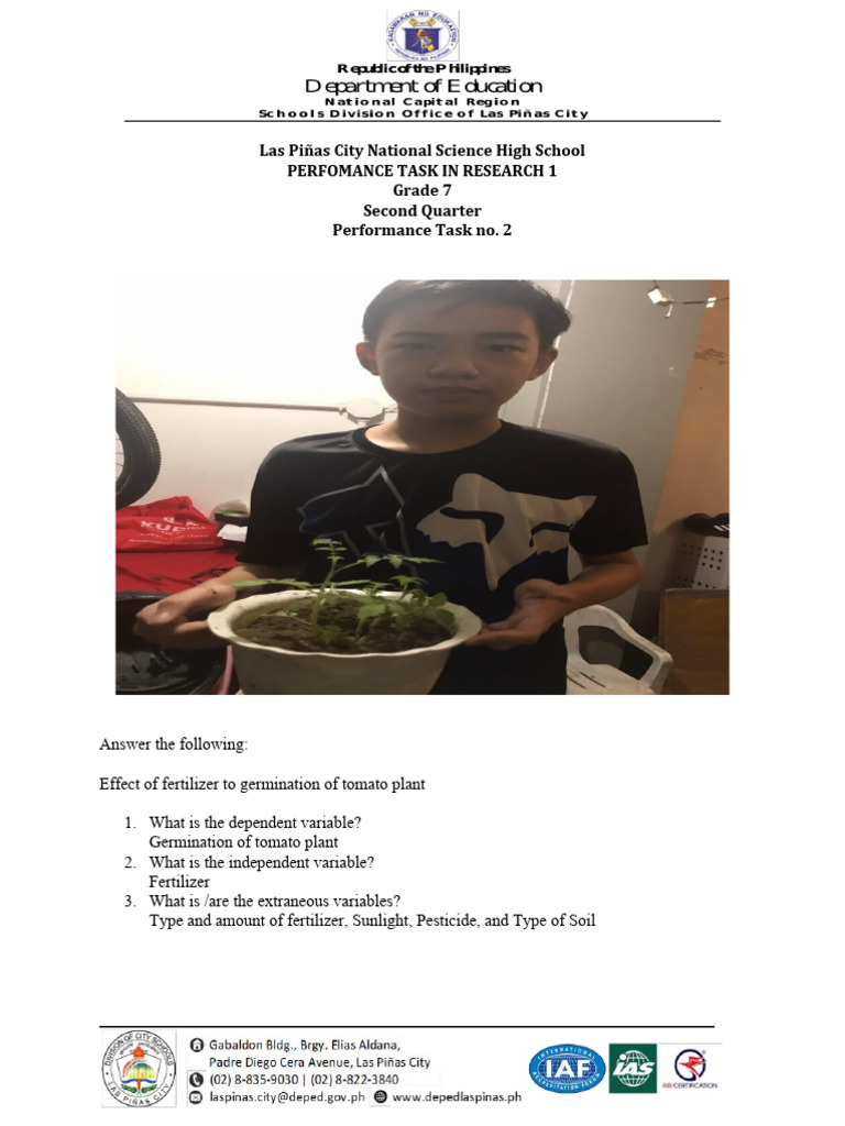 Tomato Plant Germination Research Task | PDF