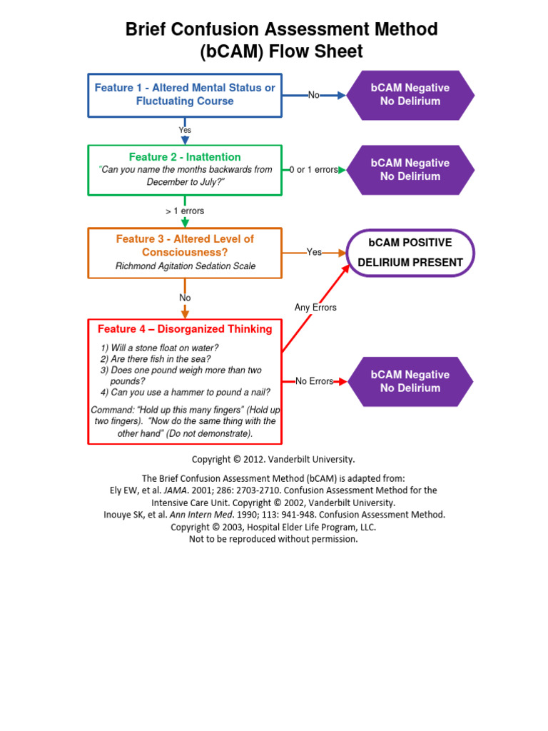bCAM Flowsheet Color | PDF