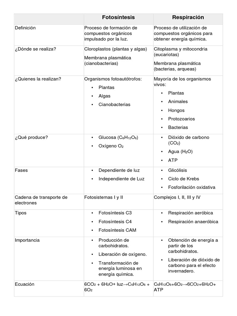 Fotosíntesis | PDF | Respiración celular | Fotosíntesis