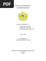Makalah Patofisiologi Diare Kel 5 202501 | PDF