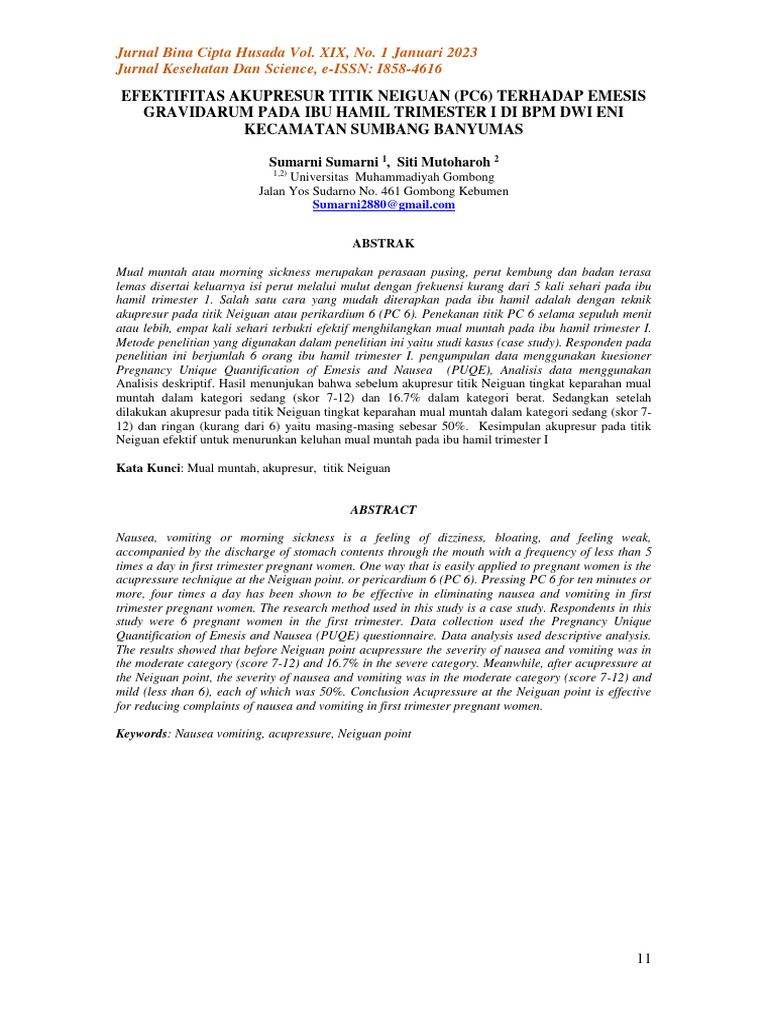 2 +sumarni+et+al +2023-1 | PDF