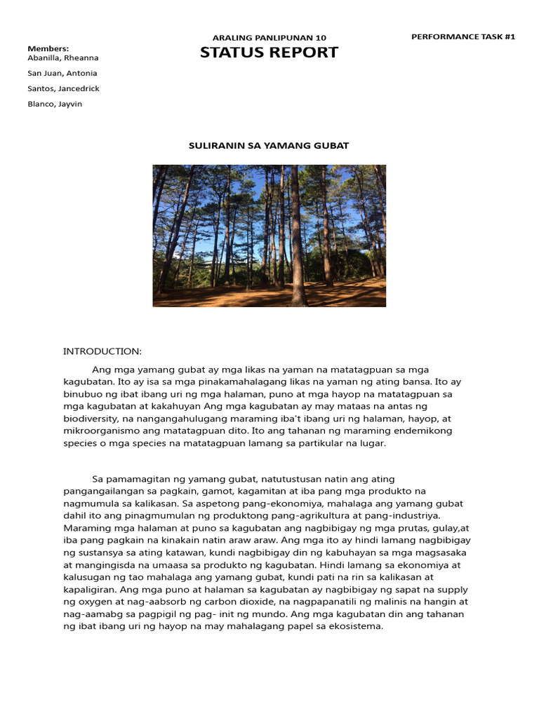 Statusreport G10 | PDF