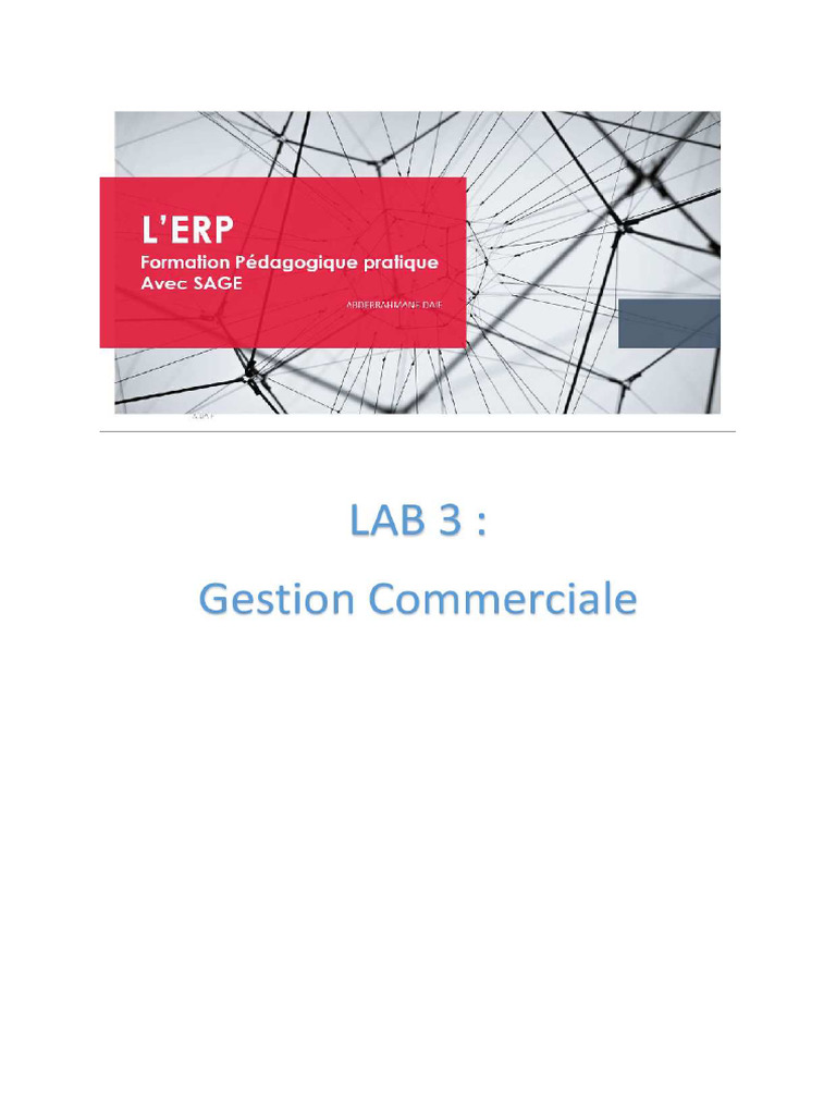 LAB 3 Gestion Commerciale | PDF