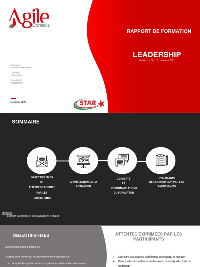 Agile Conseils - Leadership - Rapport de Formation | PDF | Direction ...