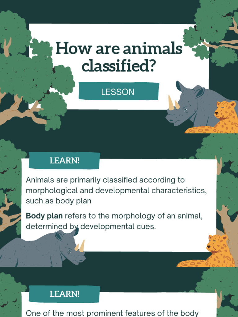 Animal Classification by Symmetry and Development | PDF | Developmental ...