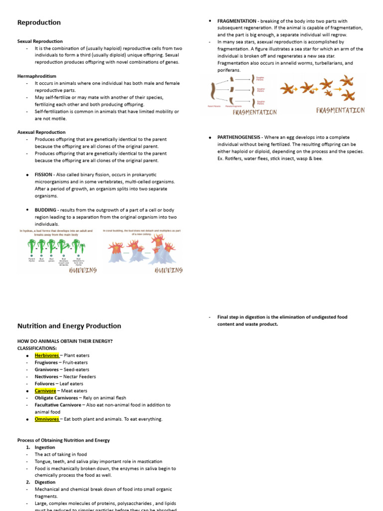 Reproduction Pdf Reproduction Foods