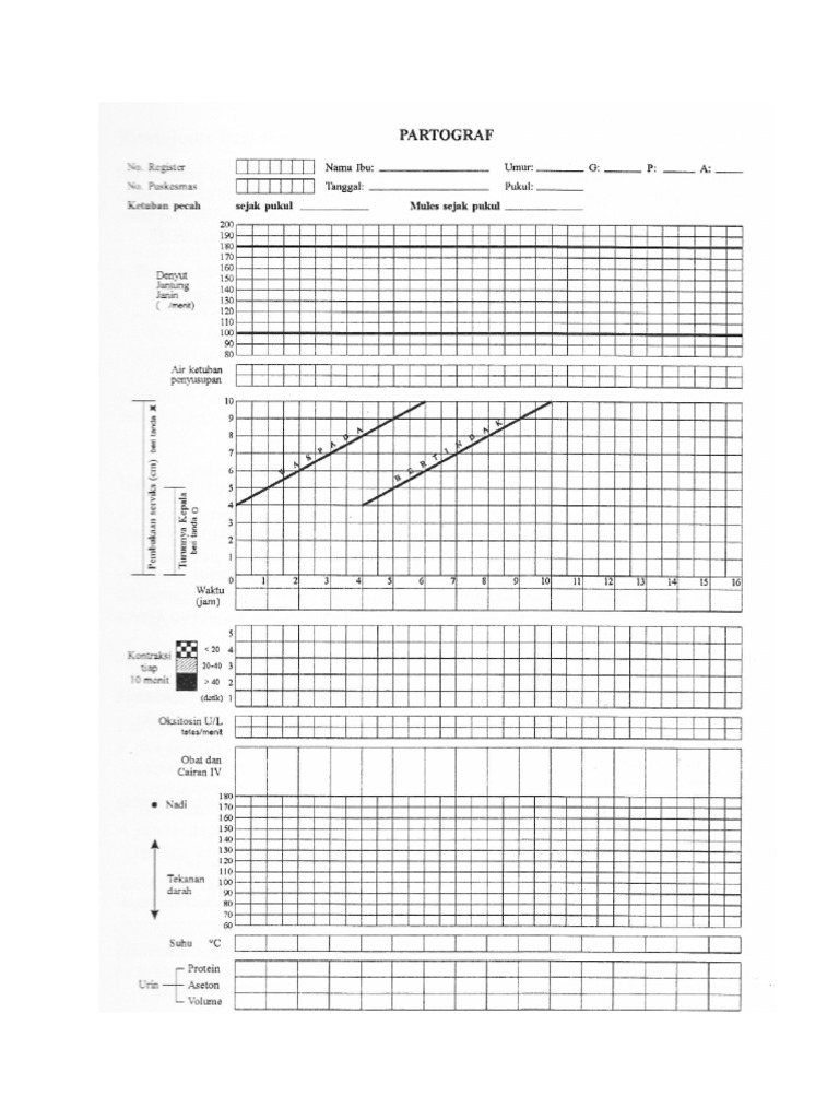 Vdocuments - MX Format-Partograf | PDF
