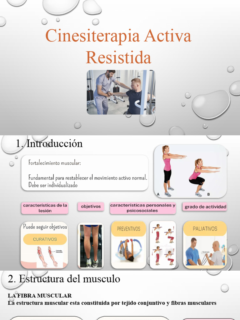 Cinesiterapia Activa Y Fortalecimiento Muscular Pdf Músculo