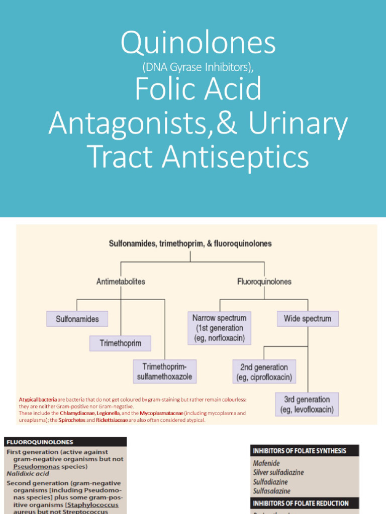 Quinolones, Folic Acid Antagonist | PDF