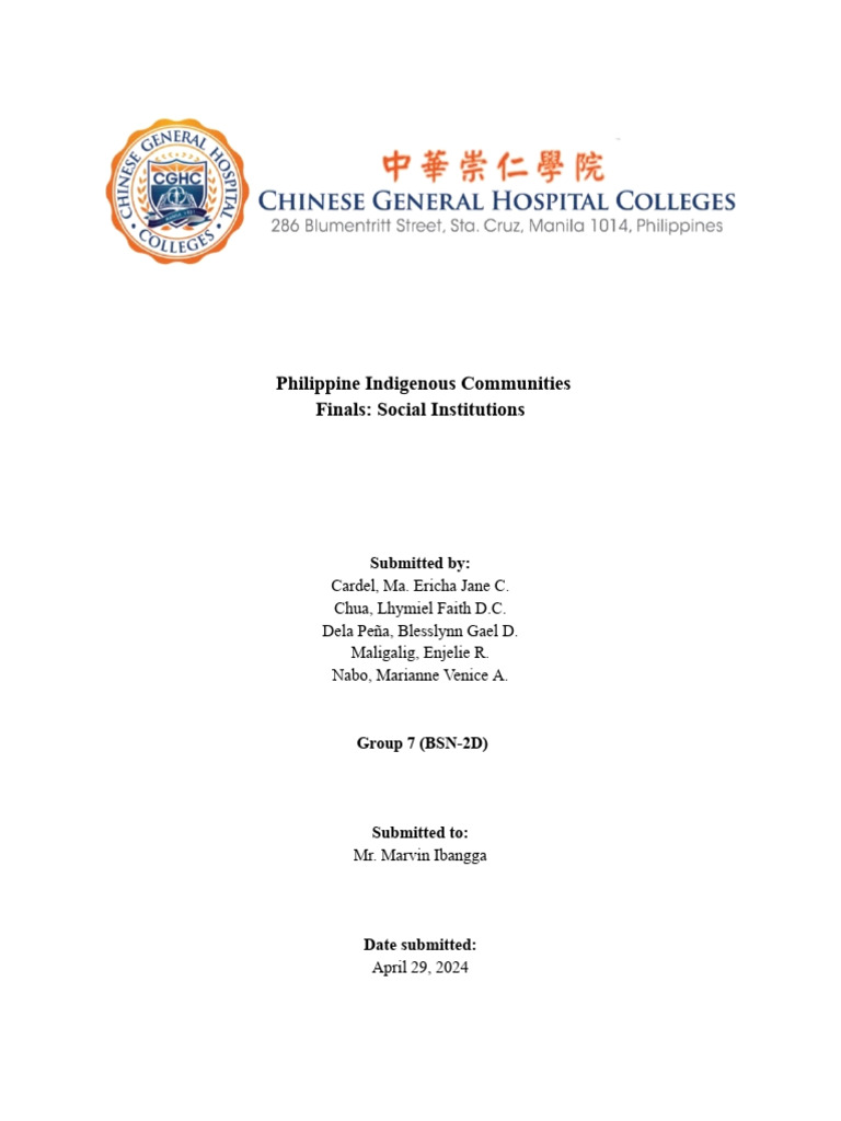 BSN 2D Group 7 Pic Finals Activity | PDF | Family | Nursing