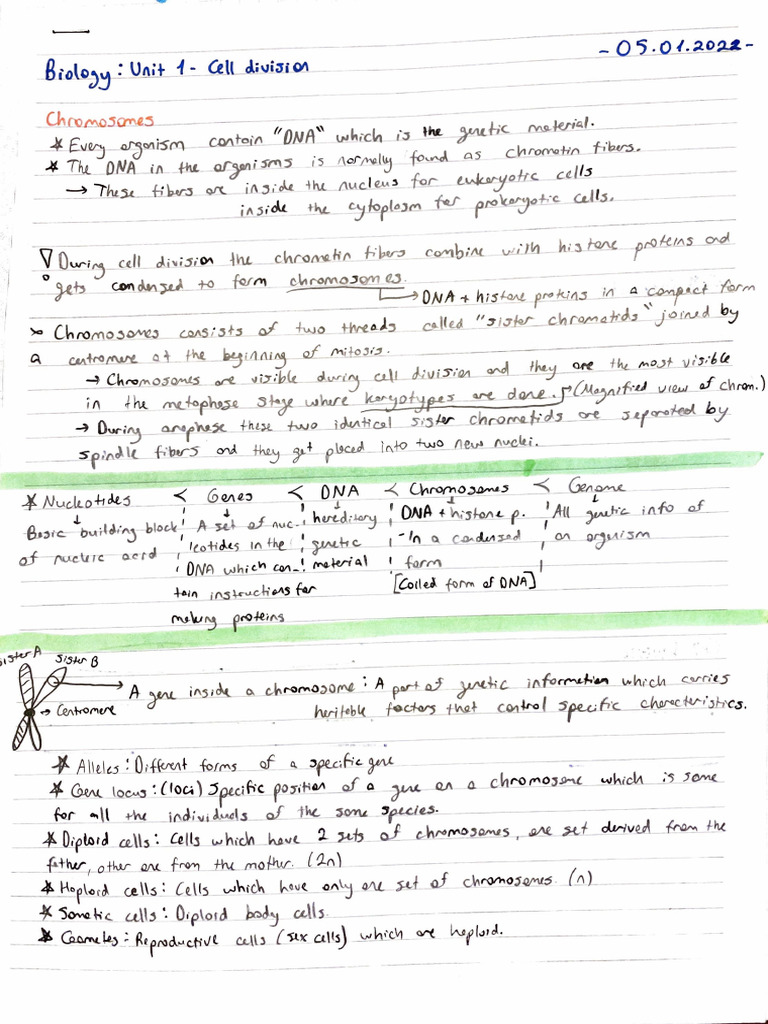 Biology Cell Division Ece | PDF