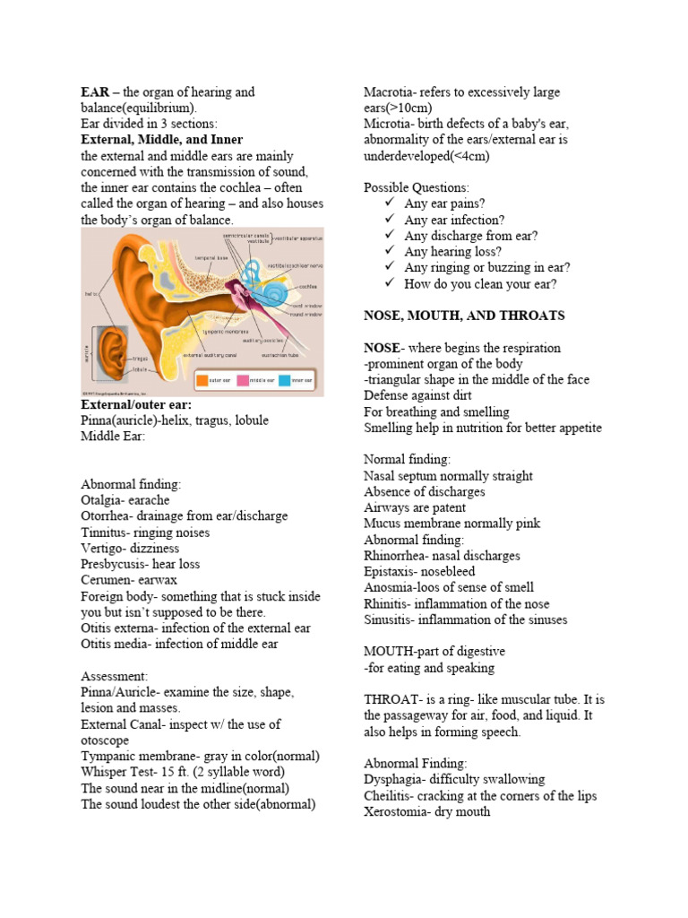 Health Assess. Lecture Reviewer | PDF | Health Sciences | Sensory Organs
