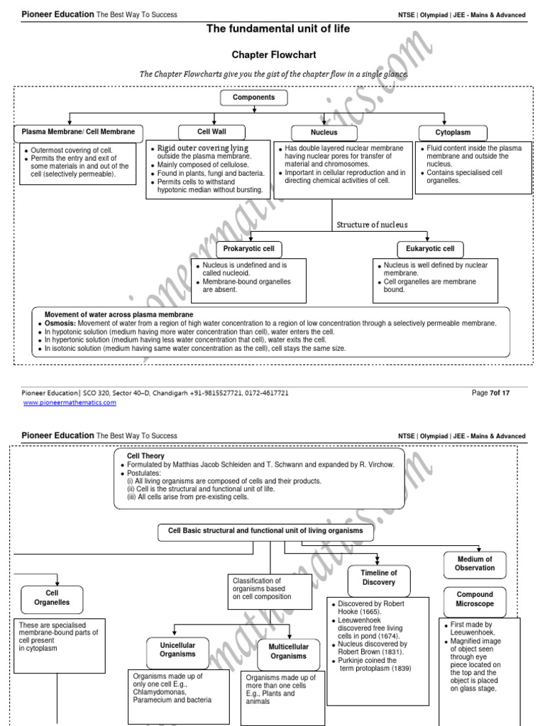The Fundamental Unit of Life FLOW CHART - 1 | PDF | Cell (Biology ...
