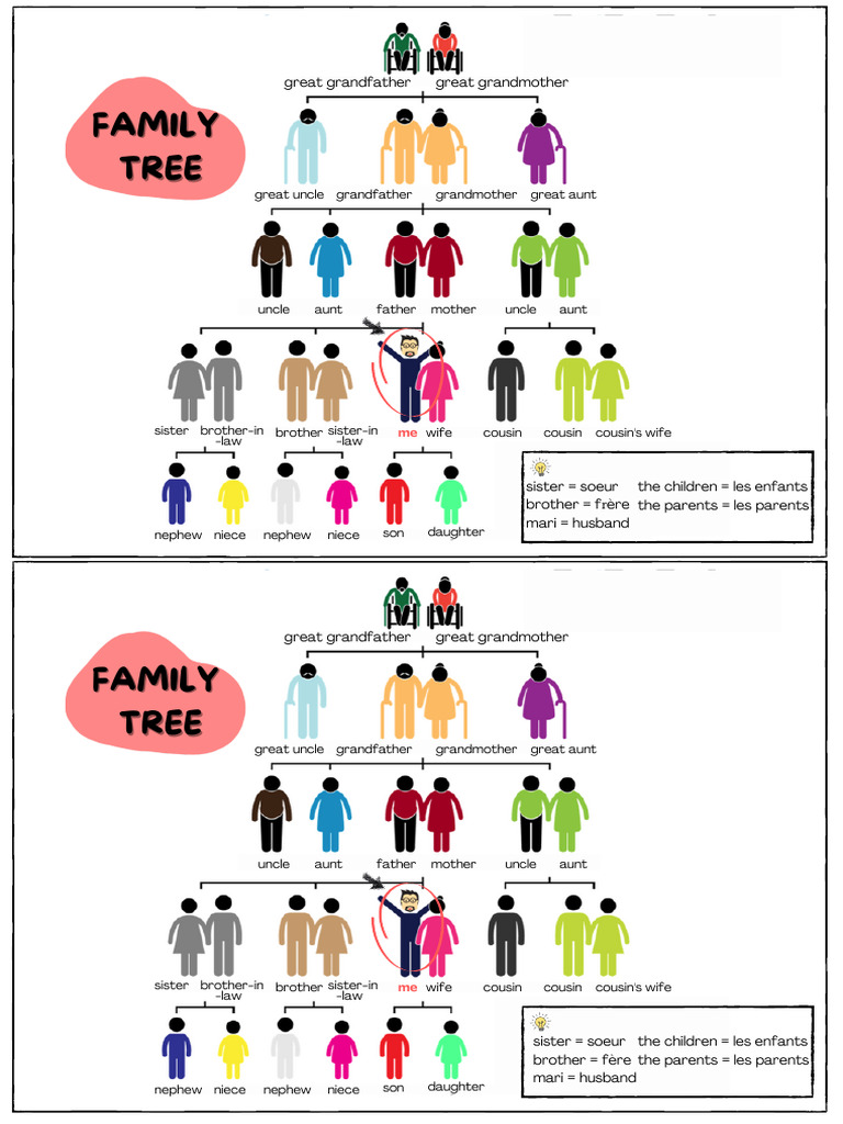 Family Tree Vocab 6e | PDF