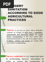 Apply Basal Fertilizer | PDF | Fertilizer | Soil