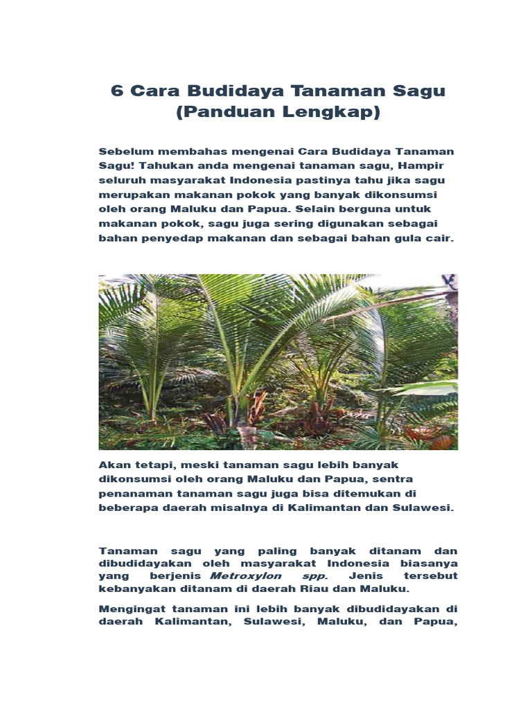 Aaaaaaaaaaaa 6 Cara Budidaya Tanaman Sagu | PDF