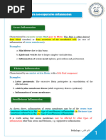Stork Balance Stand Test Protocol | PDF | Sports | Recreation