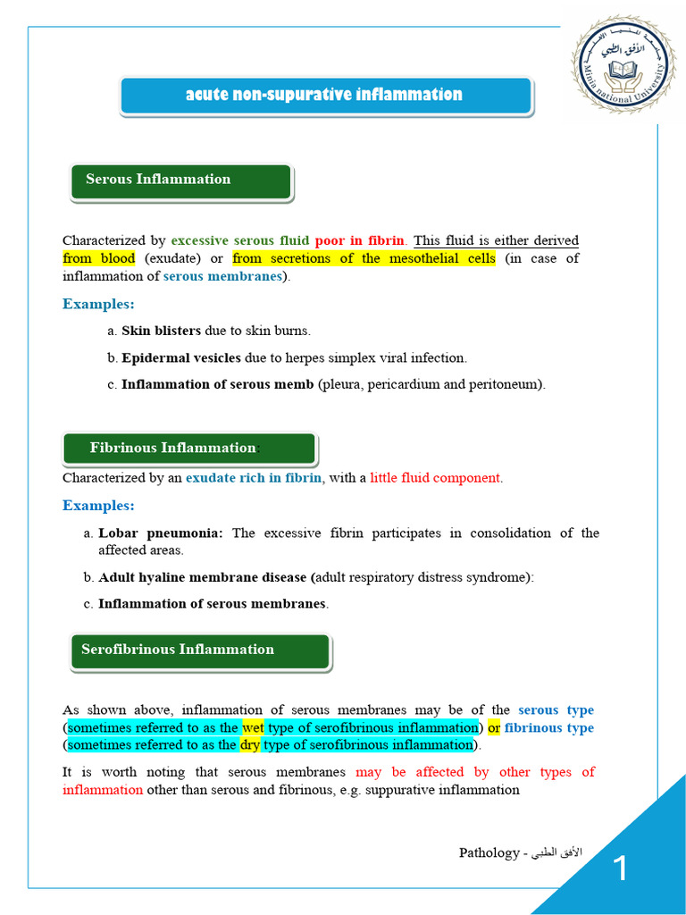 Acute Non Supurative Inflammation | PDF | Inflammation | Necrosis