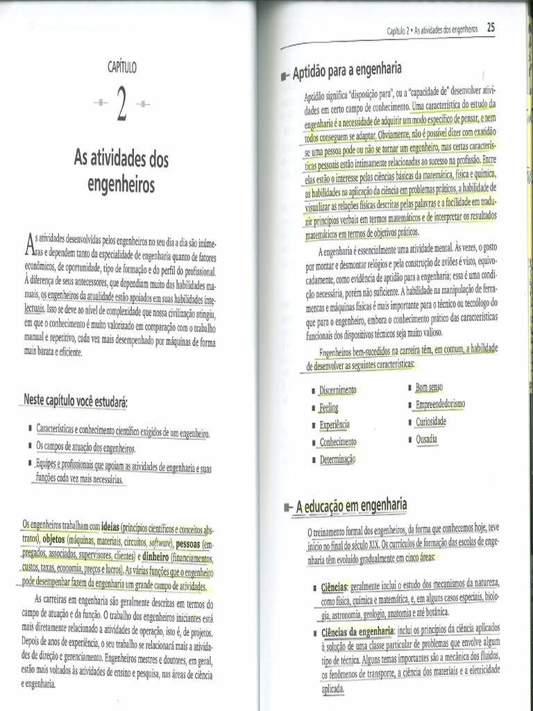 Capit 2 As Atividades Dos Engenheiros | PDF | Engenharia | Economia