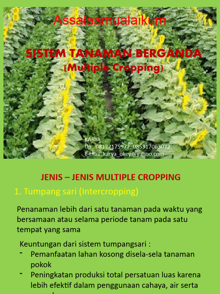 Sld 4 Jenis Jenis Multiple Cropping | PDF